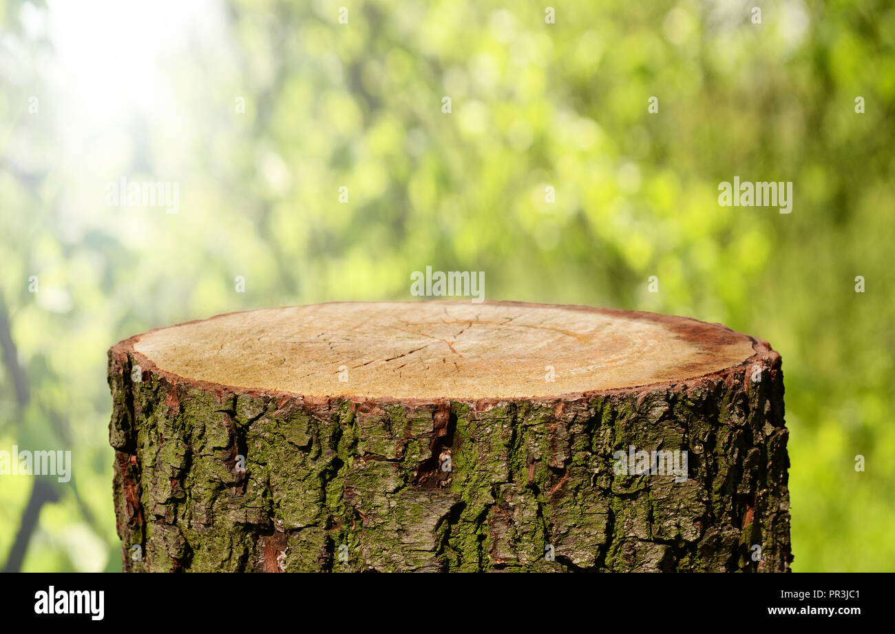 Tree trunk background Stock Photo - Alamy