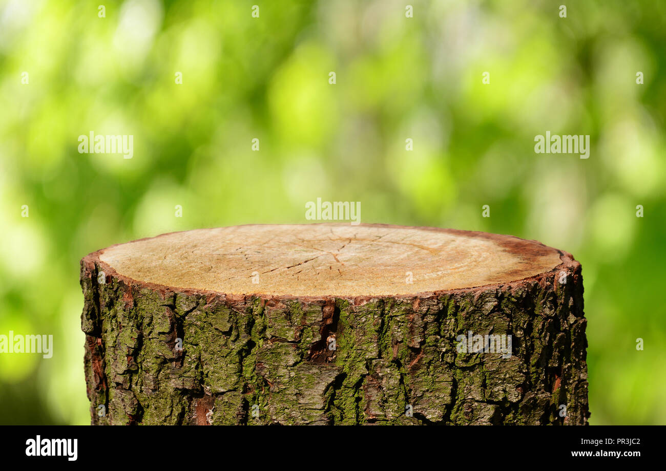 Tree trunk background Stock Photo - Alamy