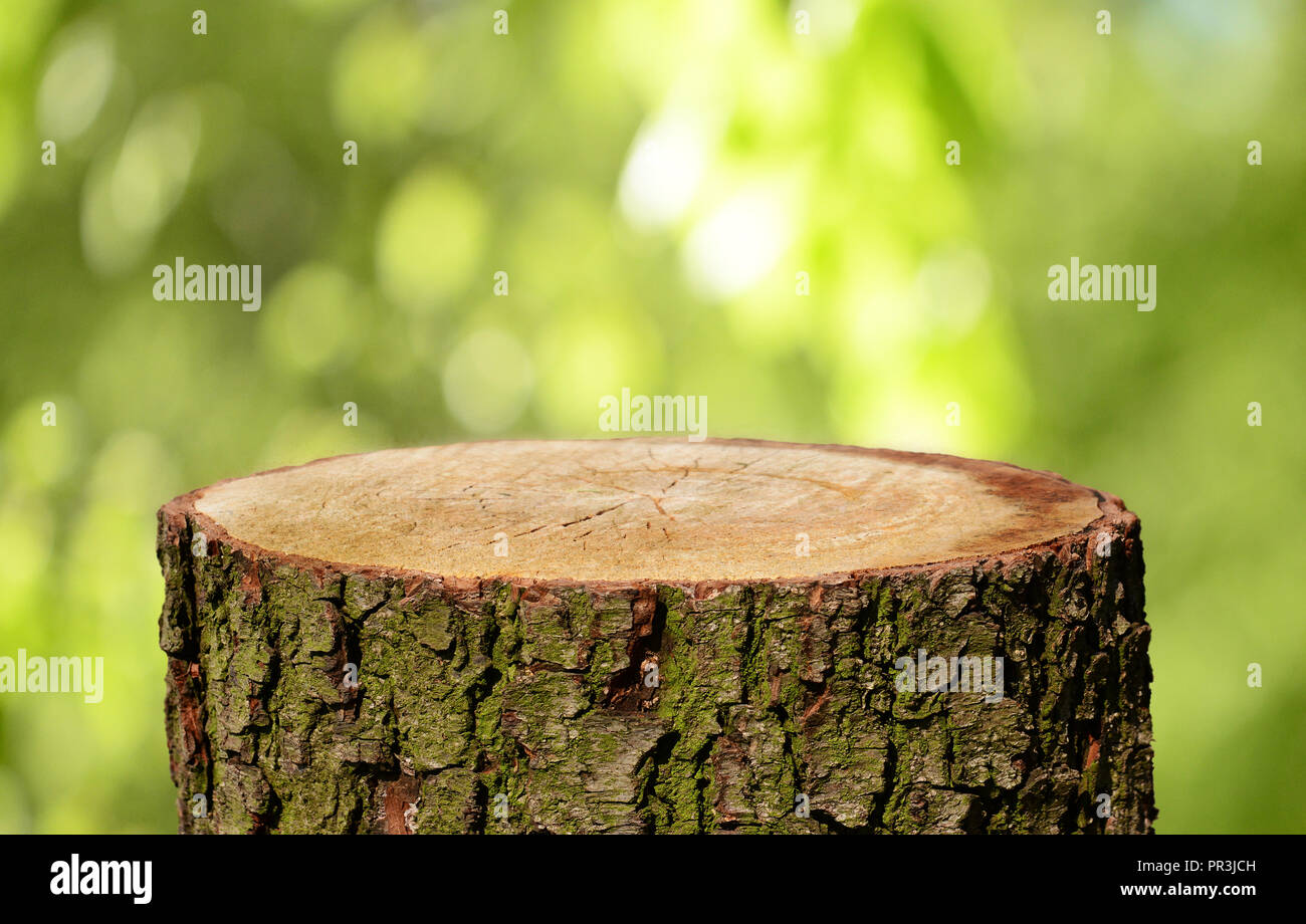 Tree trunk background Stock Photo - Alamy