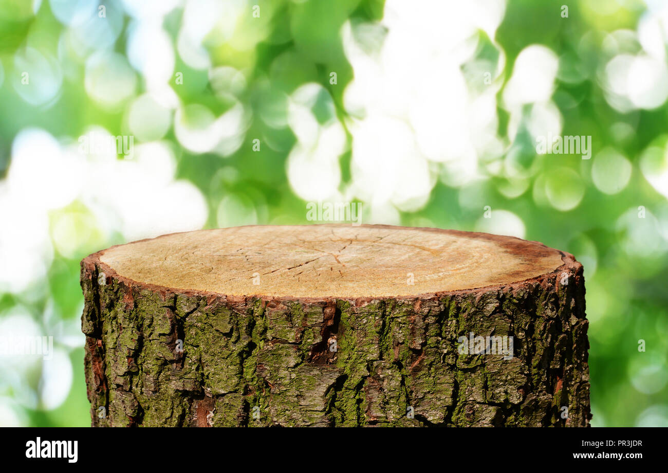 Tree trunk background Stock Photo - Alamy