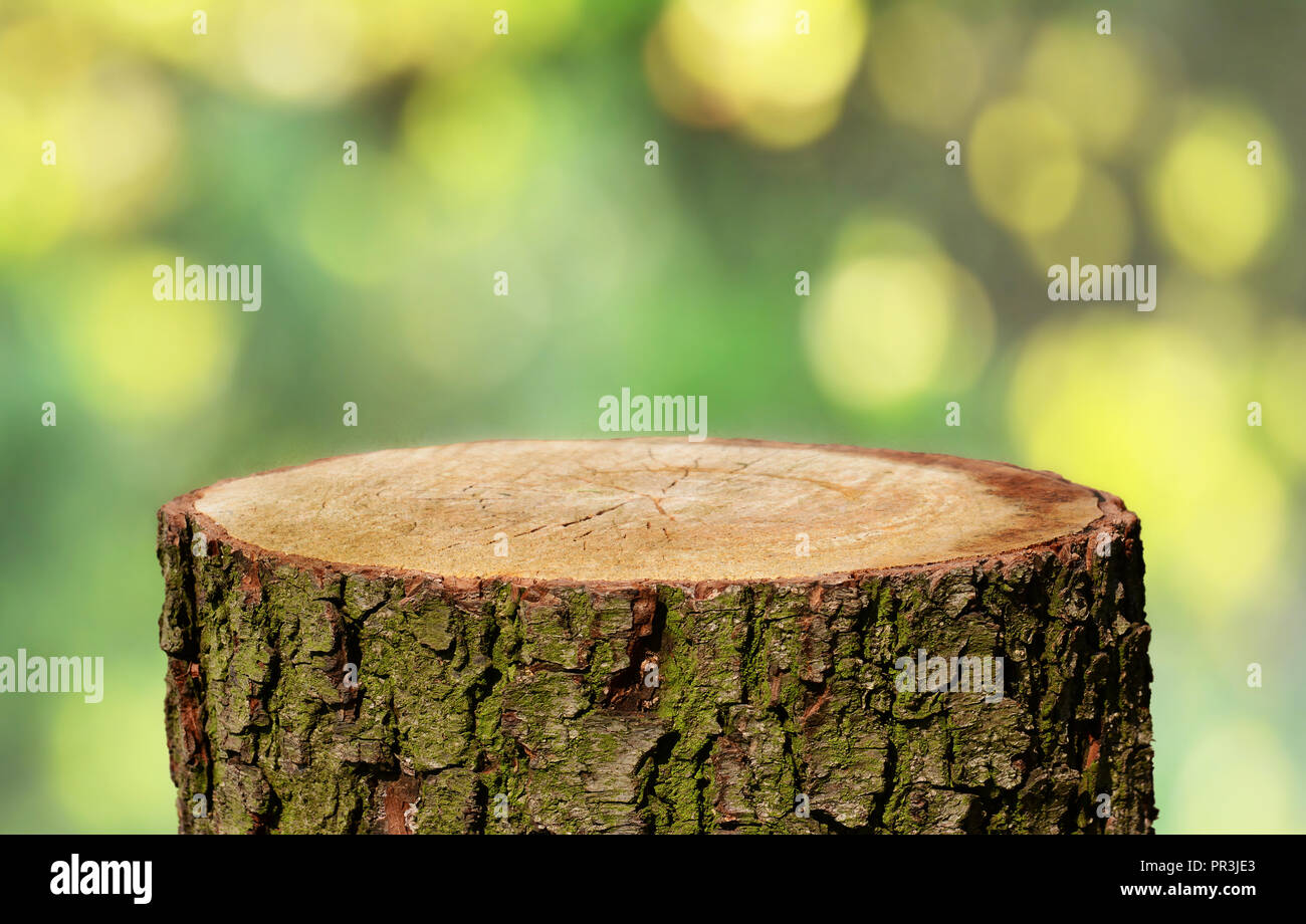 Tree trunk background Stock Photo - Alamy