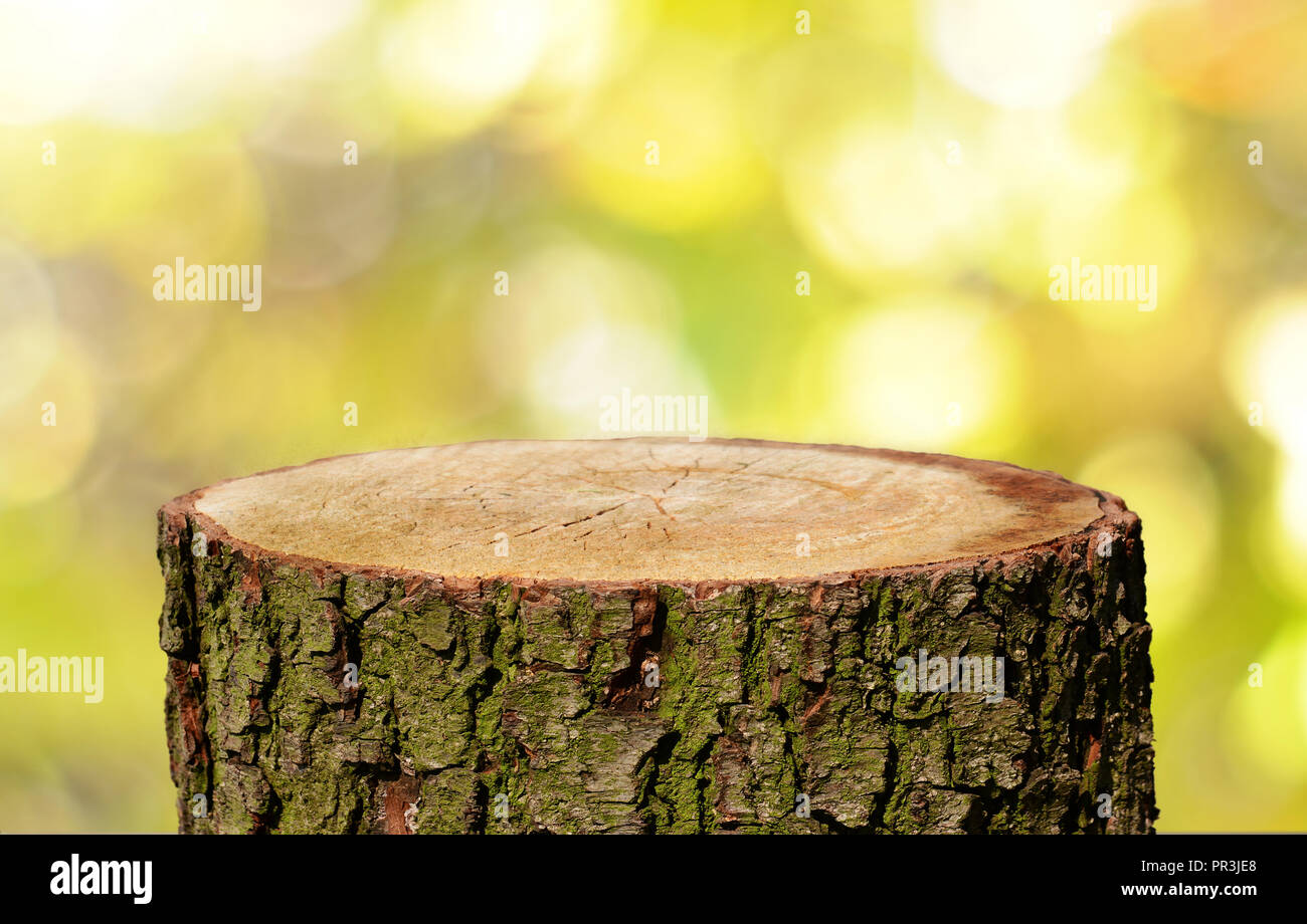 Tree trunk background Stock Photo - Alamy