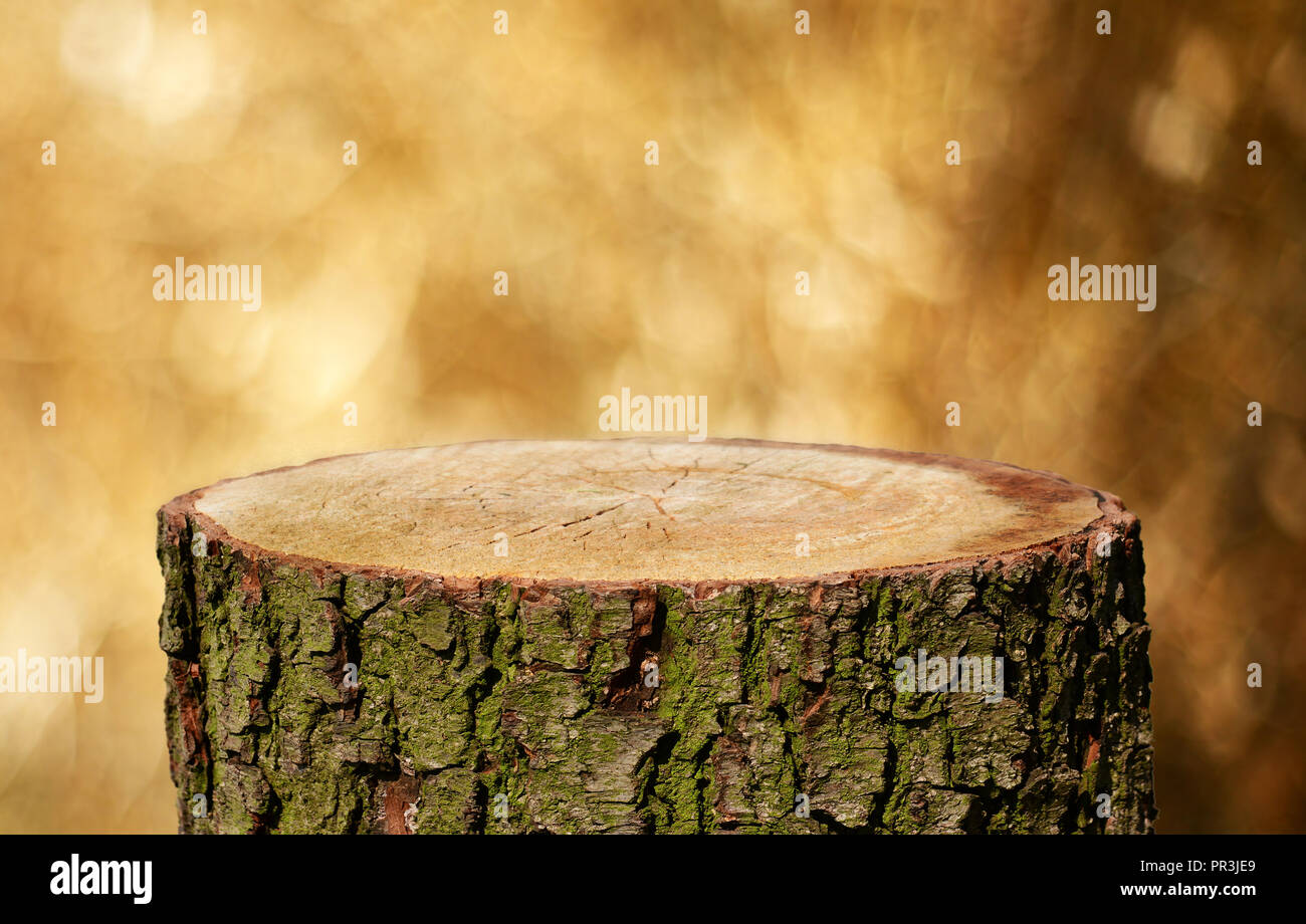 Tree trunk background Stock Photo - Alamy