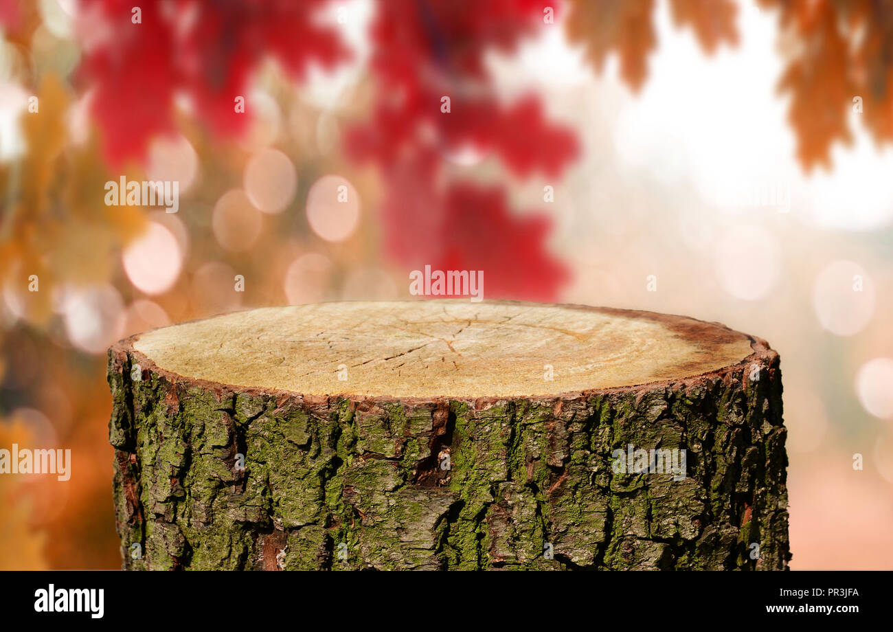 Tree trunk background Stock Photo - Alamy