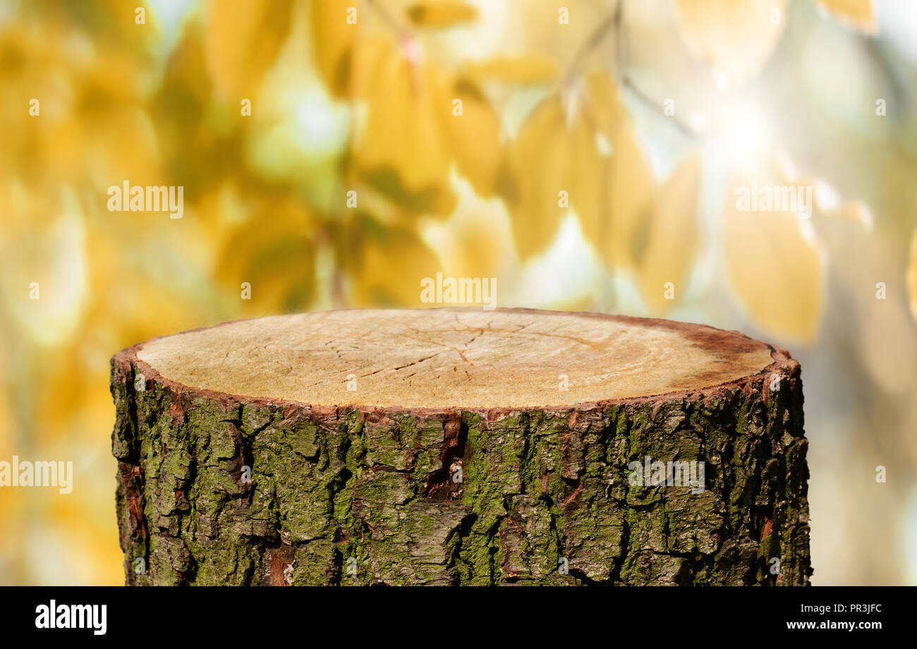 Tree trunk background Stock Photo - Alamy