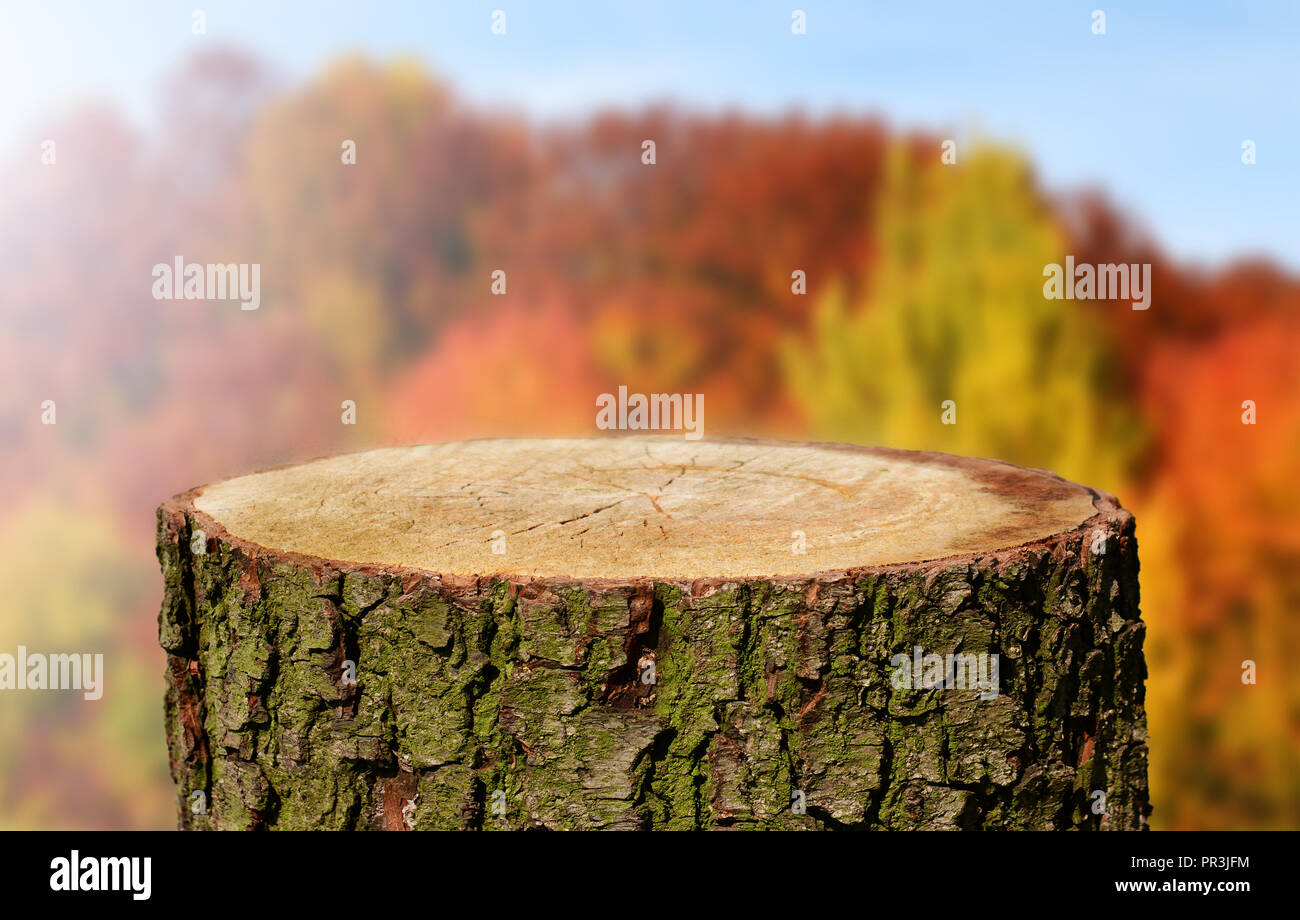 Tree trunk background Stock Photo - Alamy