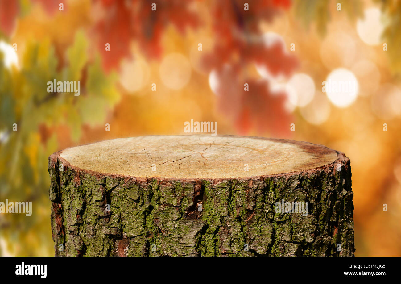 Tree trunk background Stock Photo - Alamy