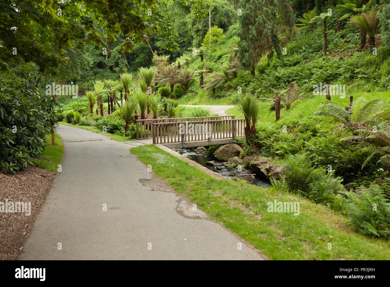 Beautiful Alley In Park. Garden Landscaping Design Concept Stock Photo ...
