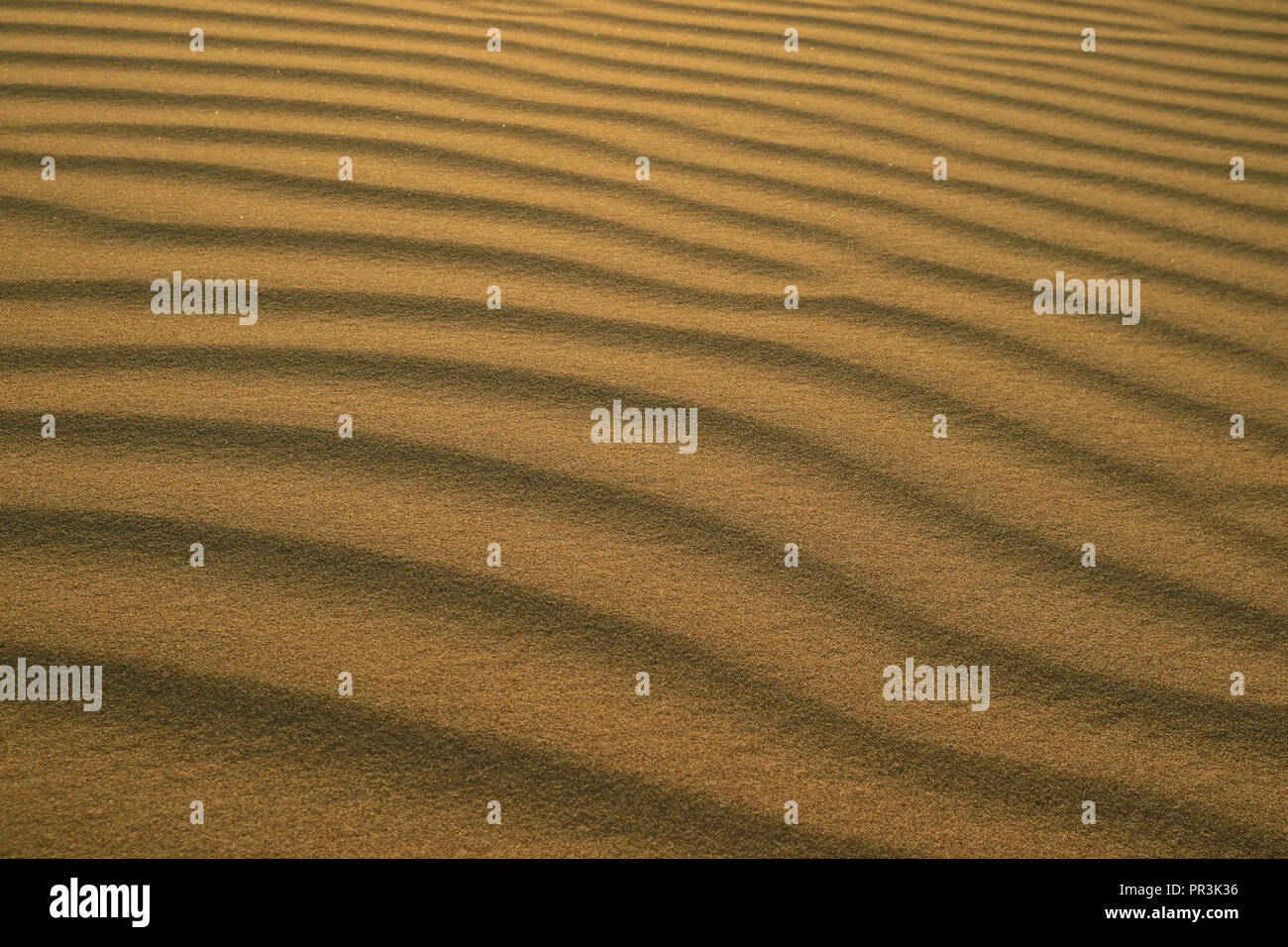 Beautiful abstract pattern of desert sand ripples in the evening ...