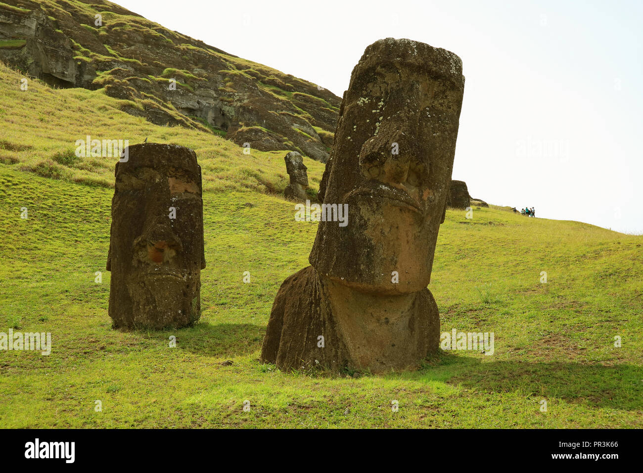 The giant Moai statues on Rano Raraku volcano, UNESCO world heritage ...