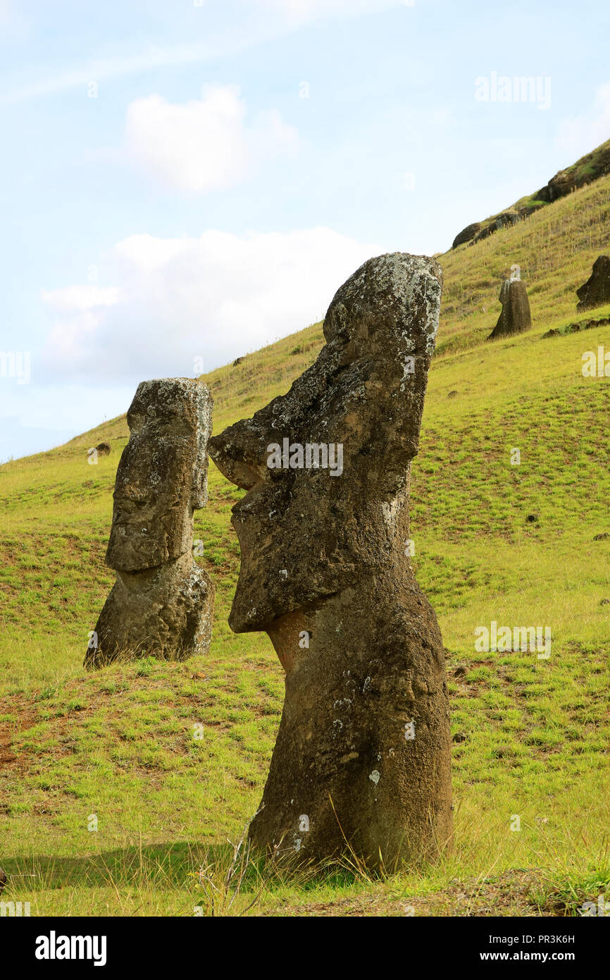 Abandoned huge Moai statues on the slope of Rano Raraku volcano ...