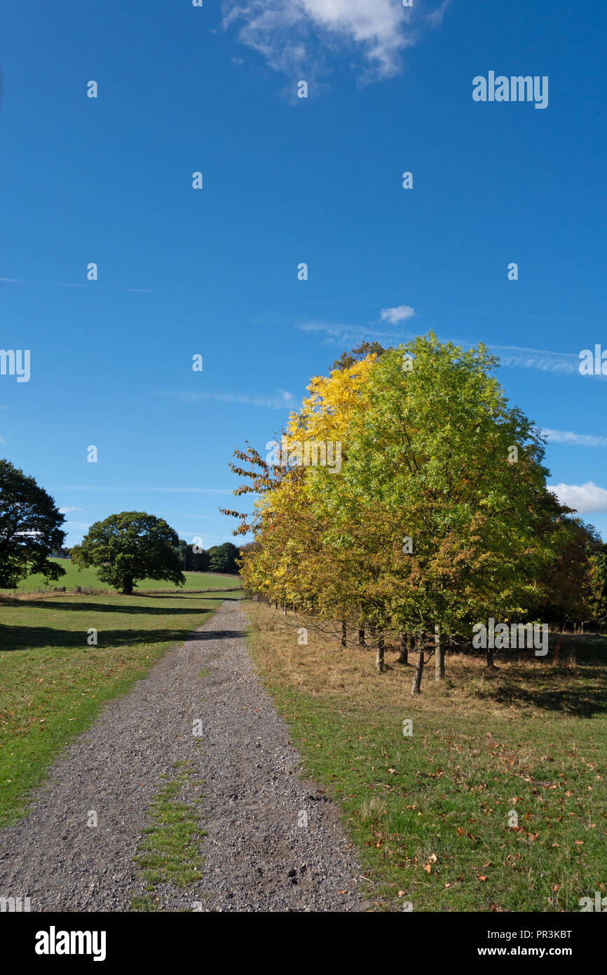 Cinder track yorkshire hi-res stock photography and images - Alamy