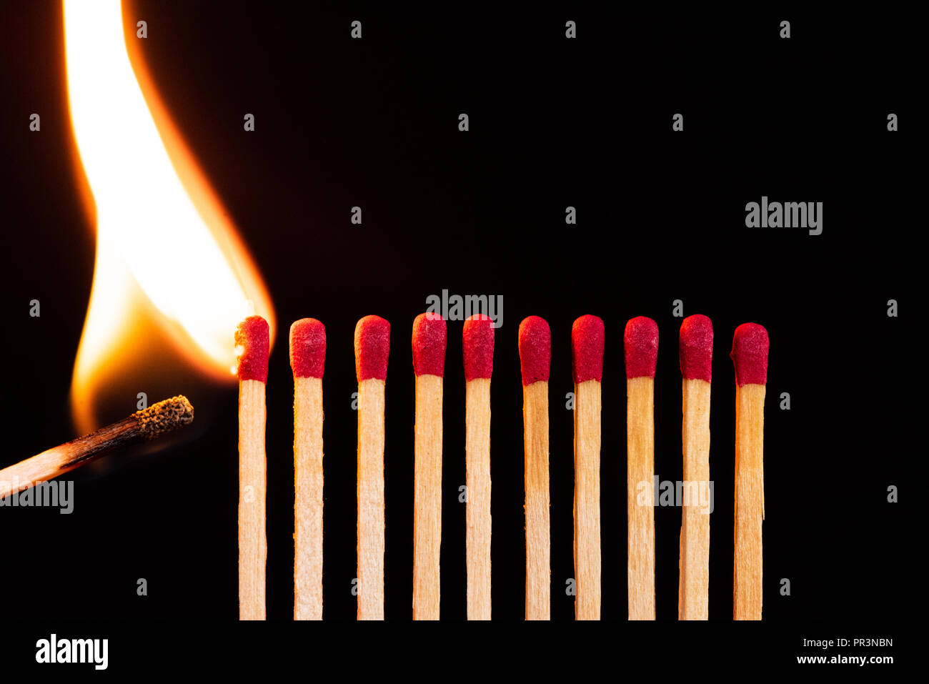 Lit match next to a row of unlit matches. The Passion of One Ignites ...