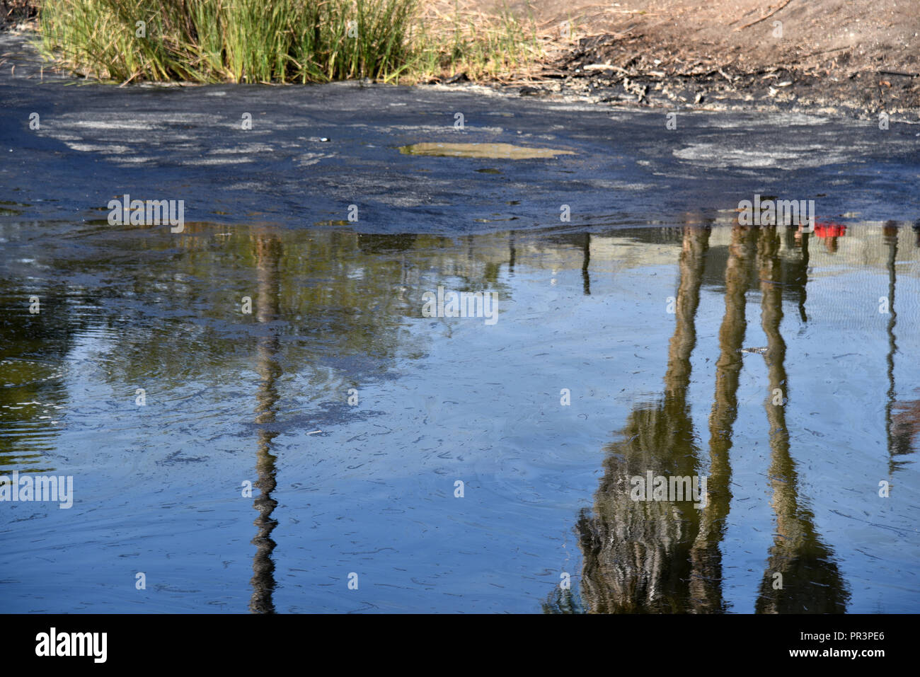 Sign For La Brea Tar Pits High Resolution Stock Photography and Images ...