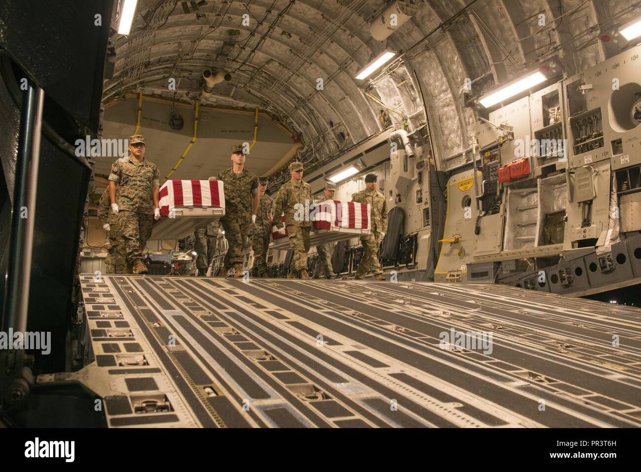 U.S. Service members with the Defense POW/MIA Accounting Agency (DPAA ...