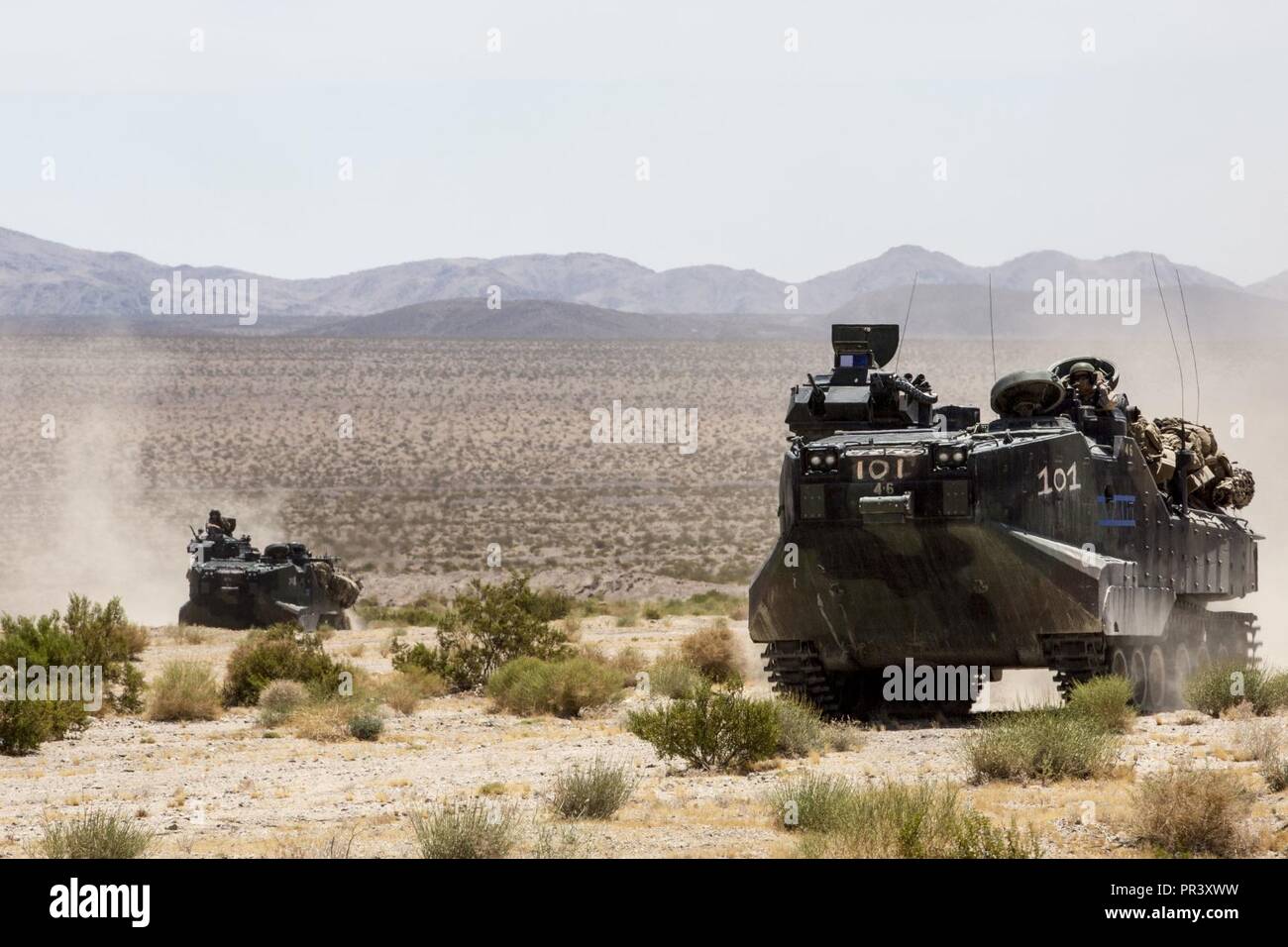 U.S. Marines with 2nd Assault Amphibian Battalion, Marine Air Ground ...