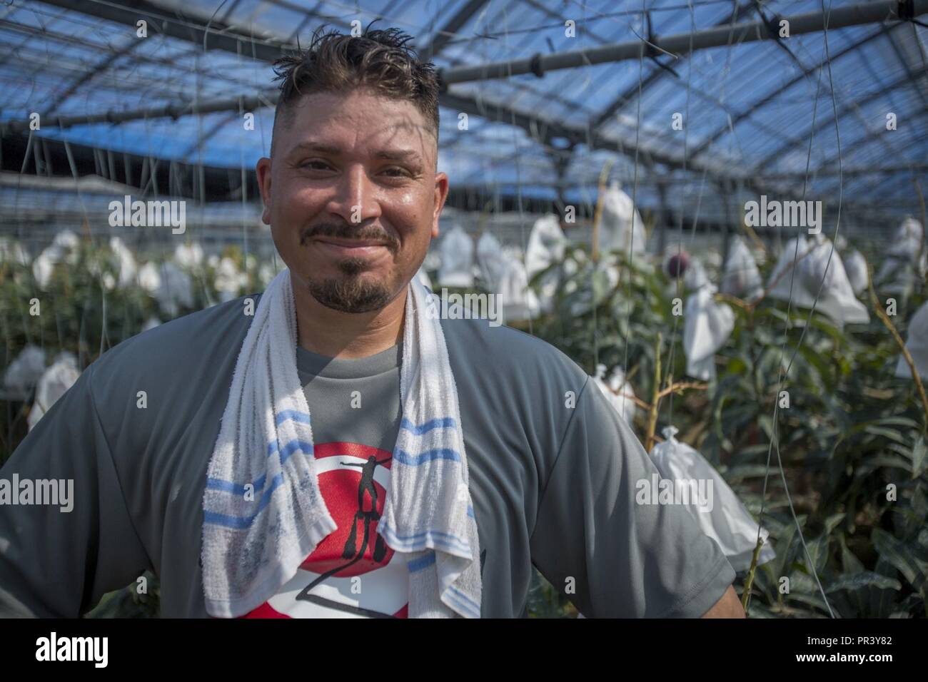 Mango mike hi-res stock photography and images - Alamy