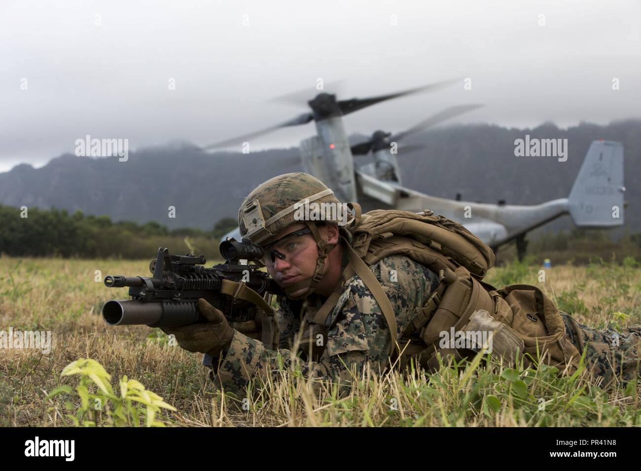 A U.S. Marine with India Company, 3rd Battalion, 3rd Marine Regiment ...