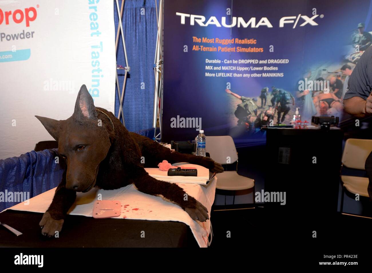 Ausa exhibition hi-res stock photography and images - Alamy