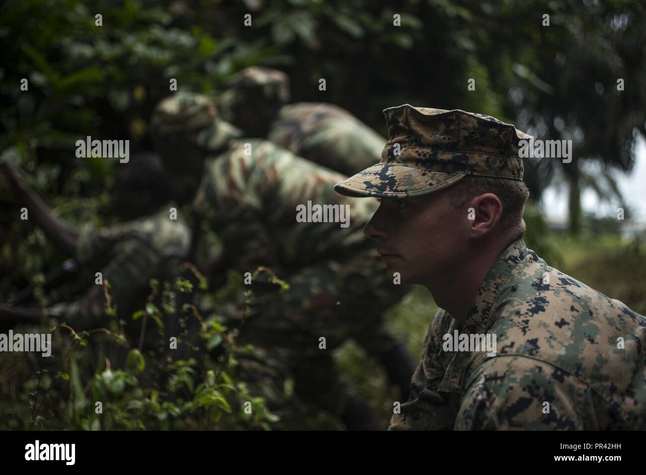 Corporal Reno Schwind, a machine gunner assigned to Special Purpose ...