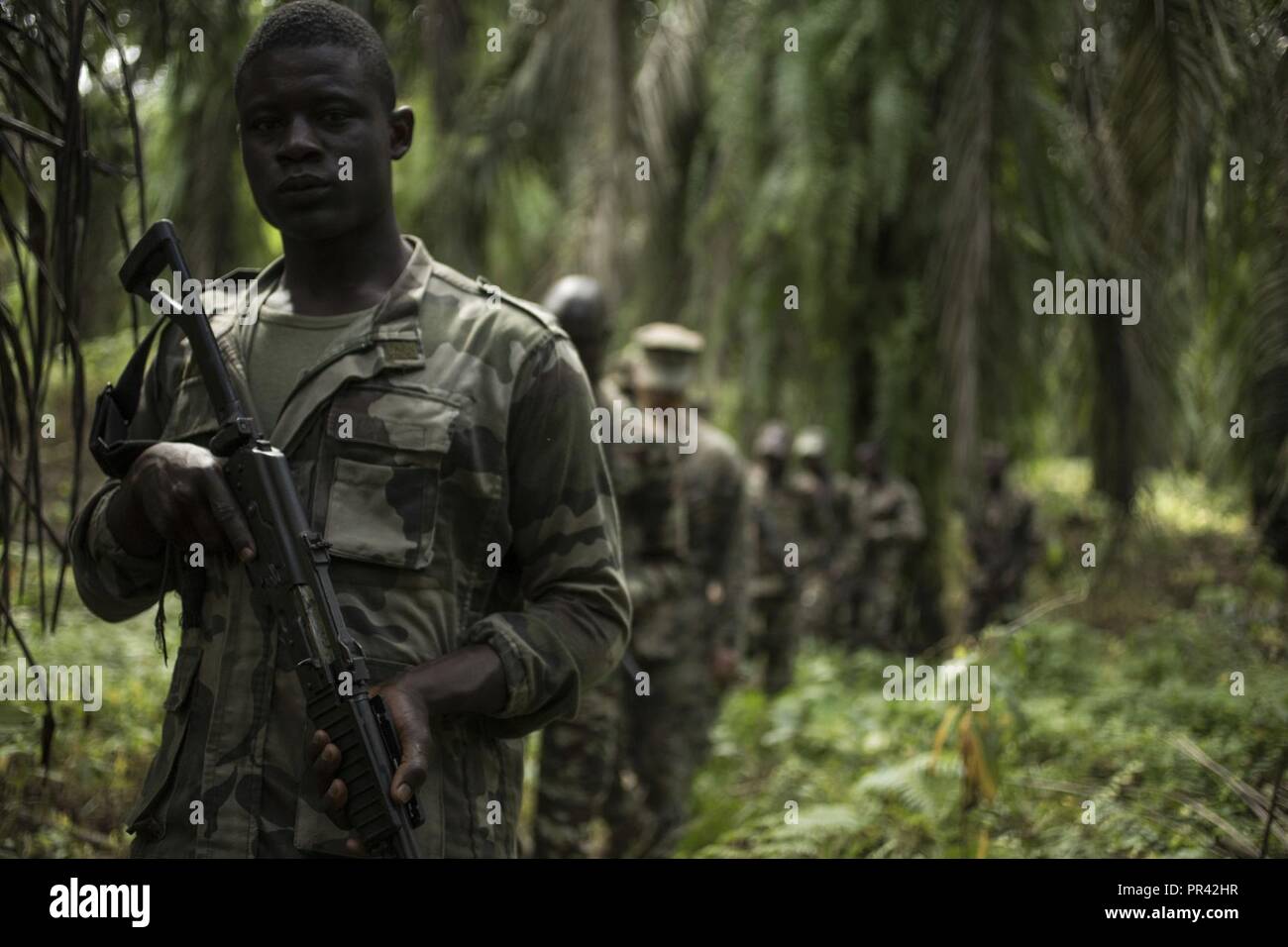 Cameroonian Marines patrol during a scenario given by U.S. Marines ...