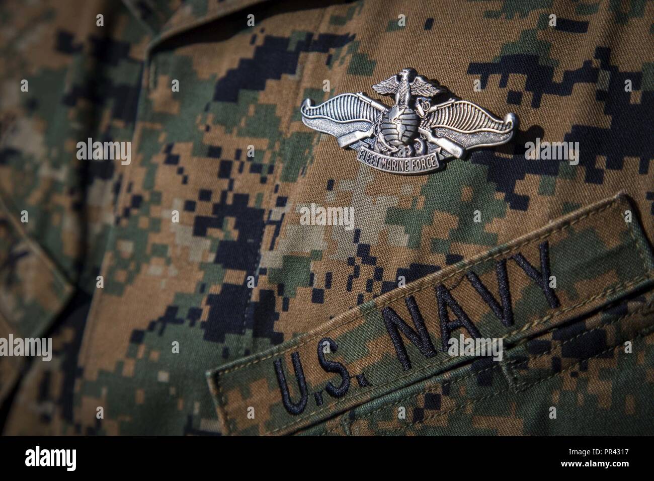 Navy Seaman Charles Patrick, a hospital man attached to Task Force Koa ...