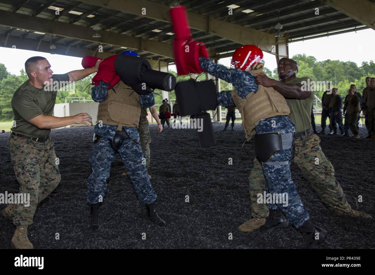 Camp devil dog hi-res stock photography and images - Alamy