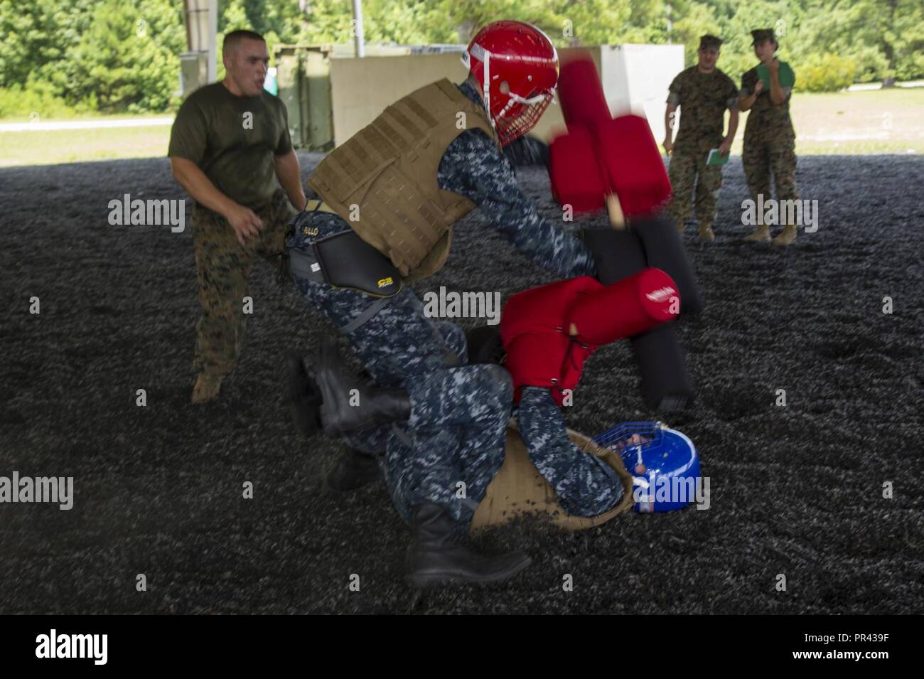 Camp devil dog hi-res stock photography and images - Alamy