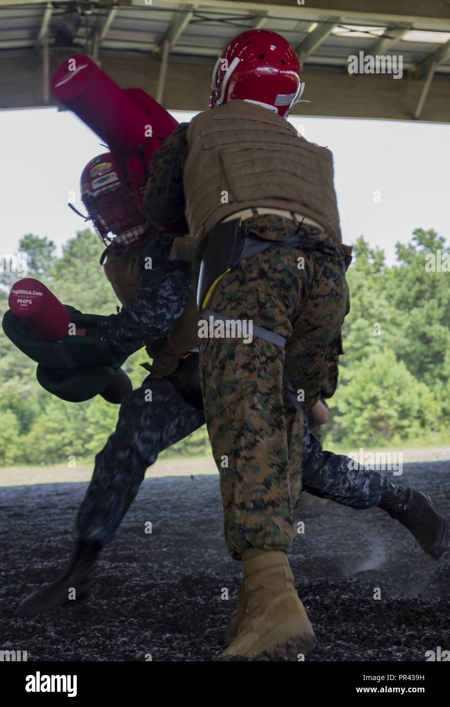 Camp devil dog hi-res stock photography and images - Alamy