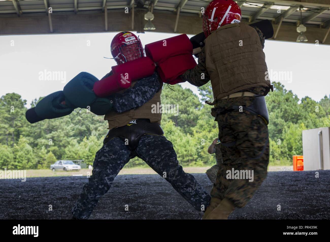 Camp devil dog hi-res stock photography and images - Alamy