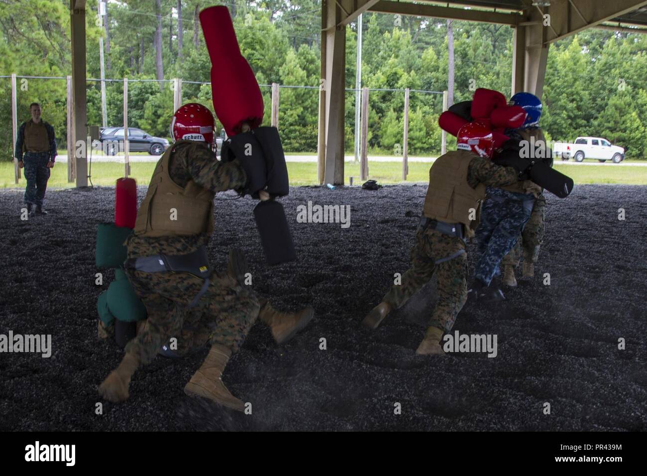 Camp devil dog hi-res stock photography and images - Alamy
