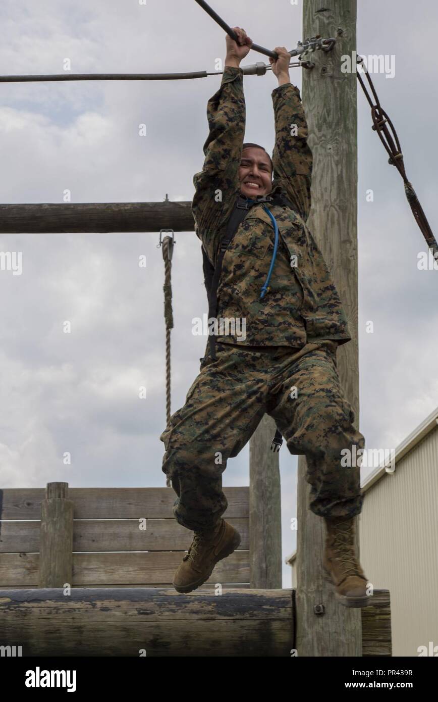 Camp devil dog hi-res stock photography and images - Alamy