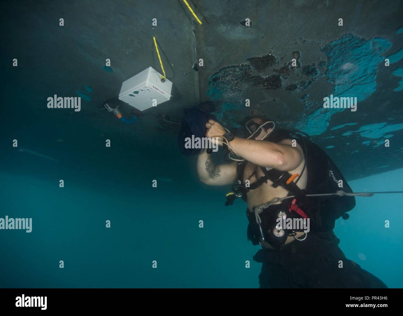 Limpet mine hi-res stock photography and images - Alamy