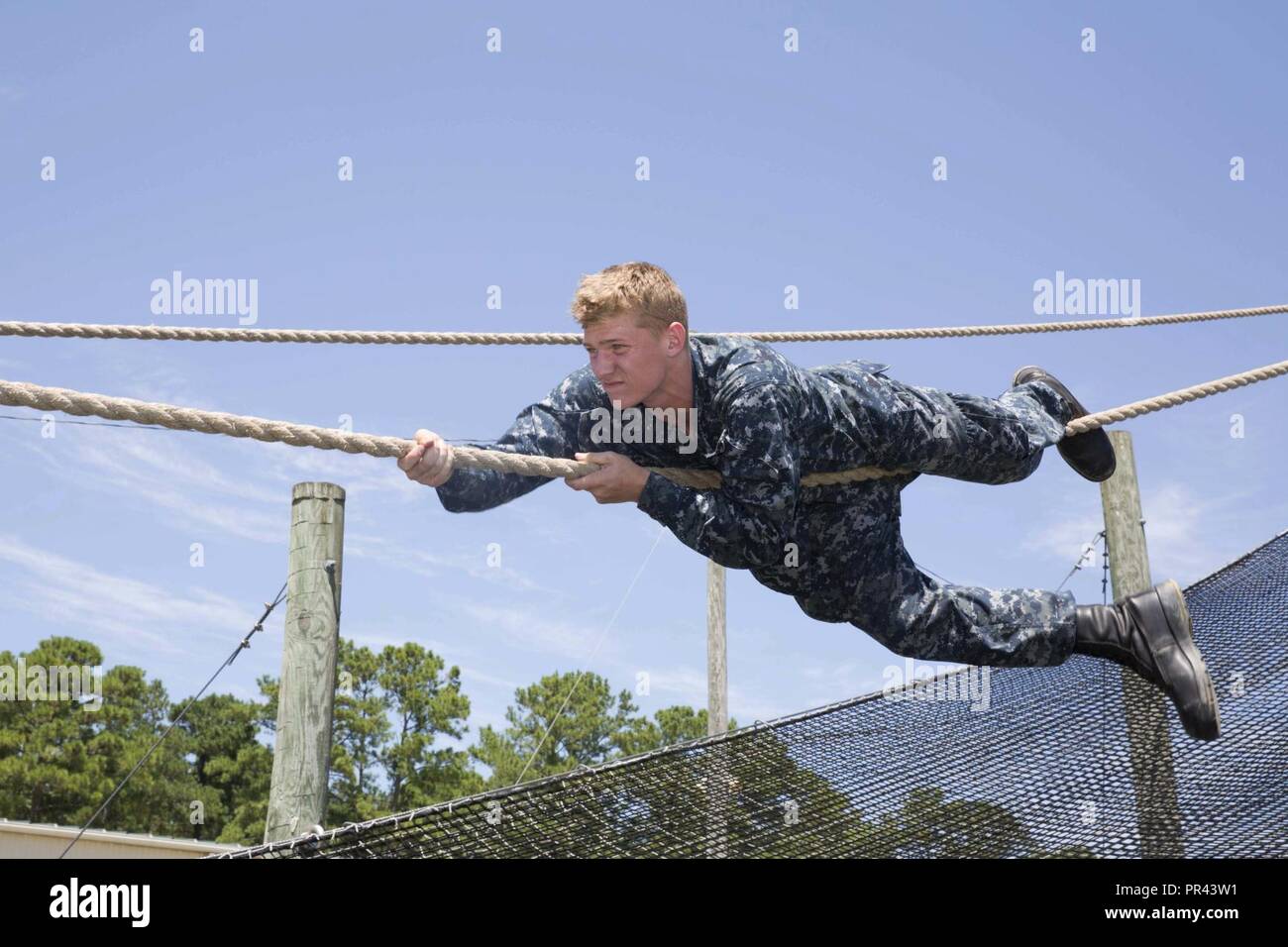Camp devil dog hi-res stock photography and images - Alamy