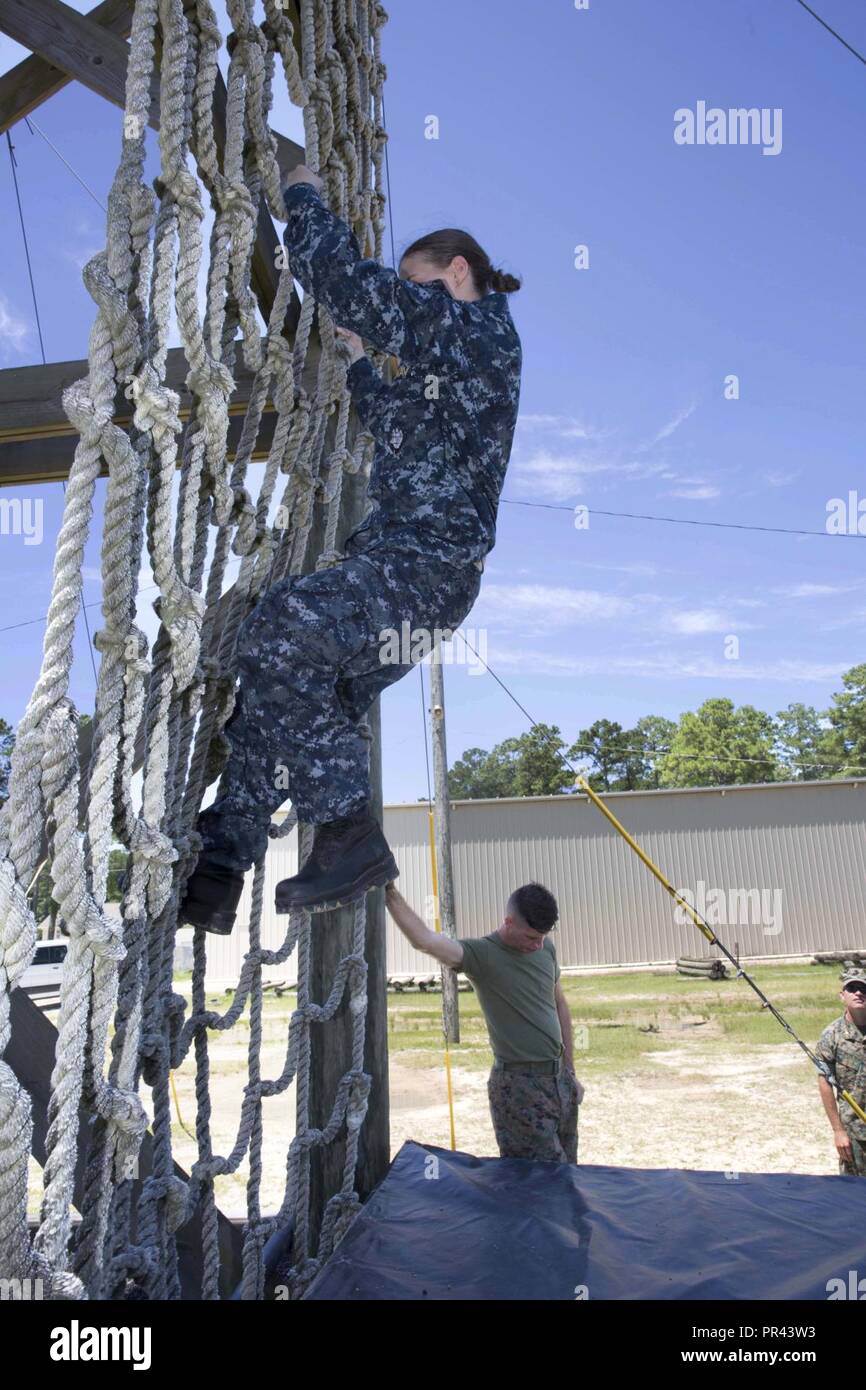 Camp devil dog hi-res stock photography and images - Alamy