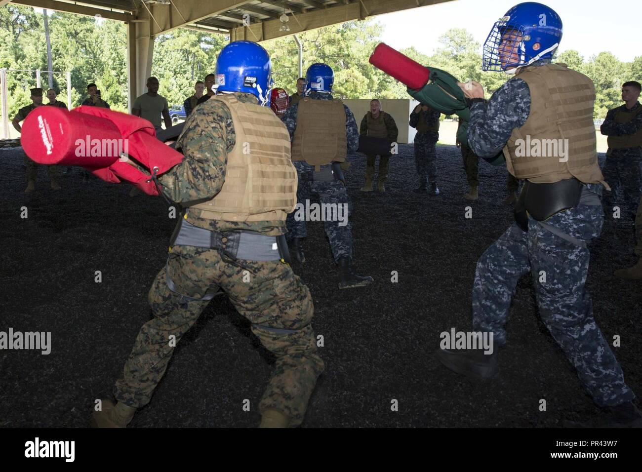 Camp devil dog hi-res stock photography and images - Alamy