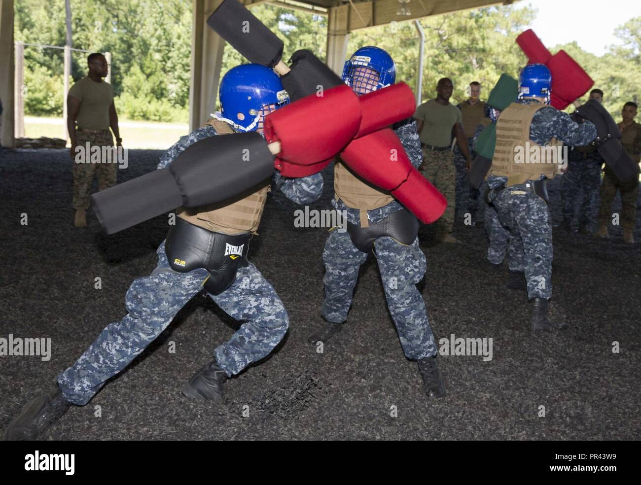 Camp devil dog hi-res stock photography and images - Alamy