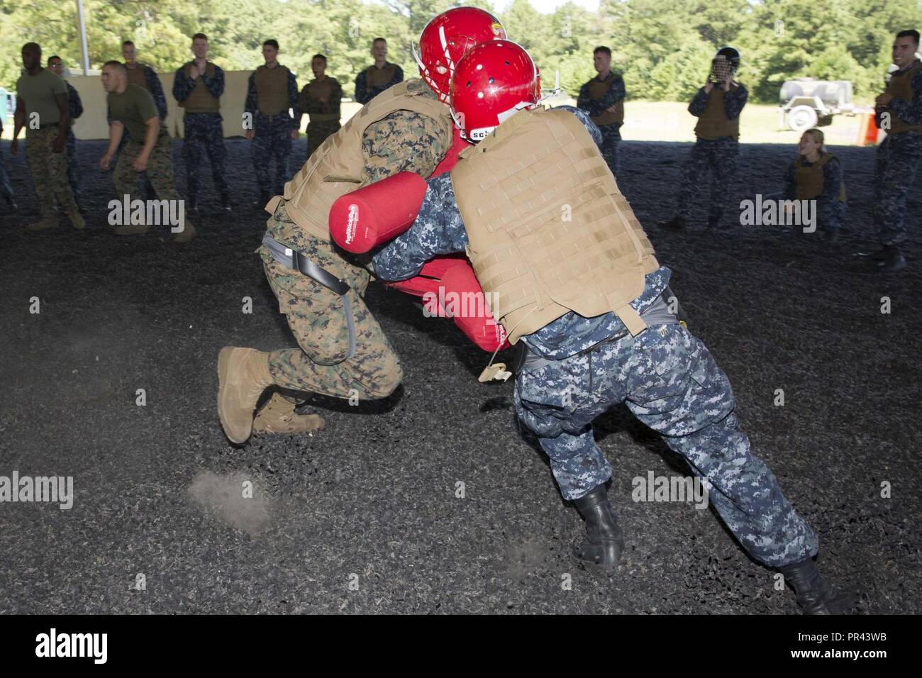 Camp devil dog hi-res stock photography and images - Alamy