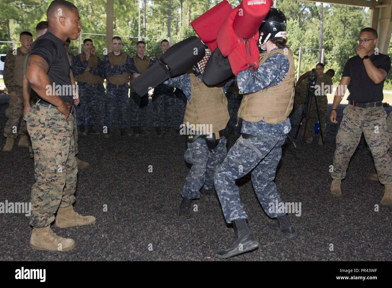 Camp devil dog hi-res stock photography and images - Alamy