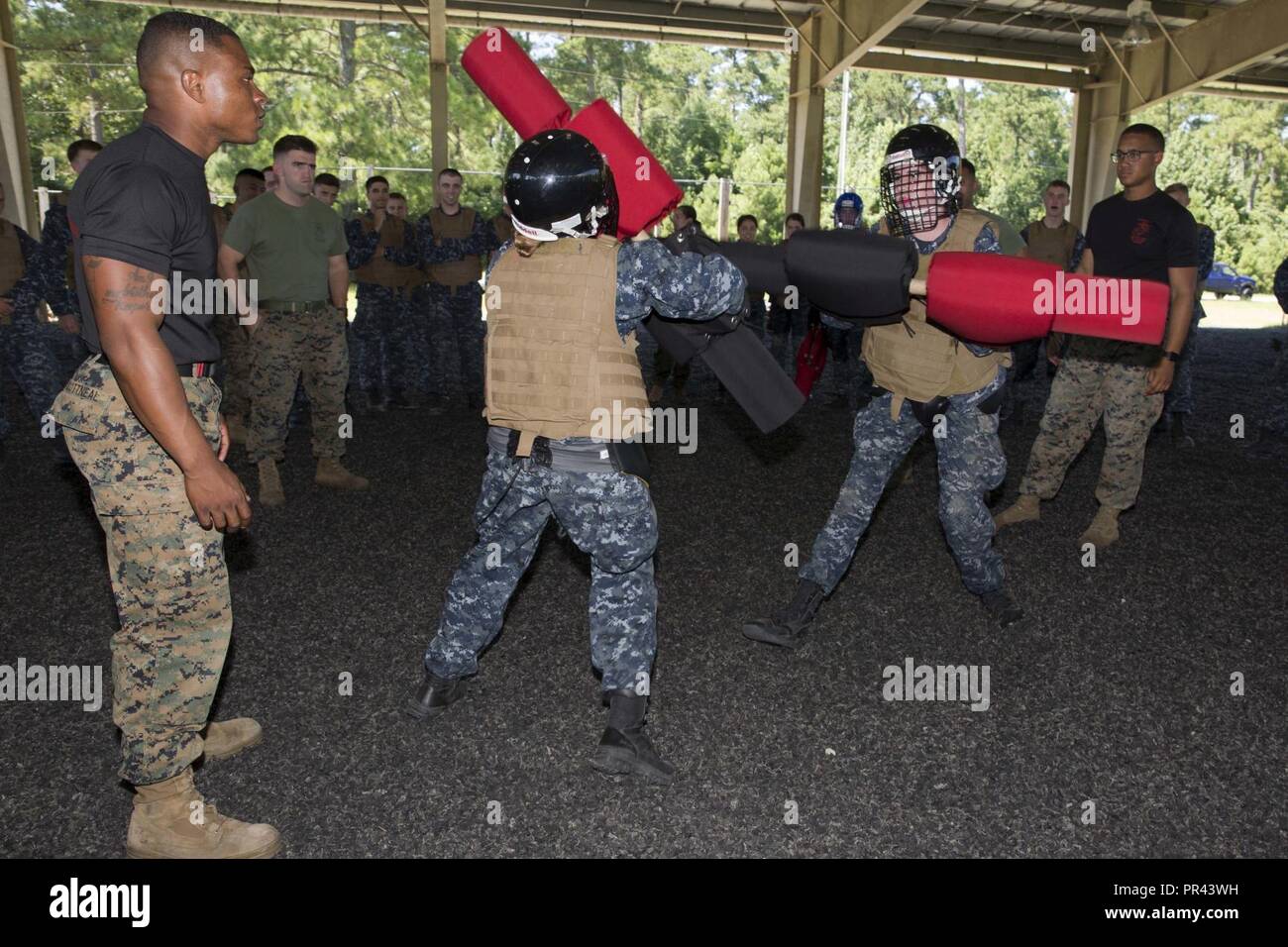 Camp devil dog hi-res stock photography and images - Alamy