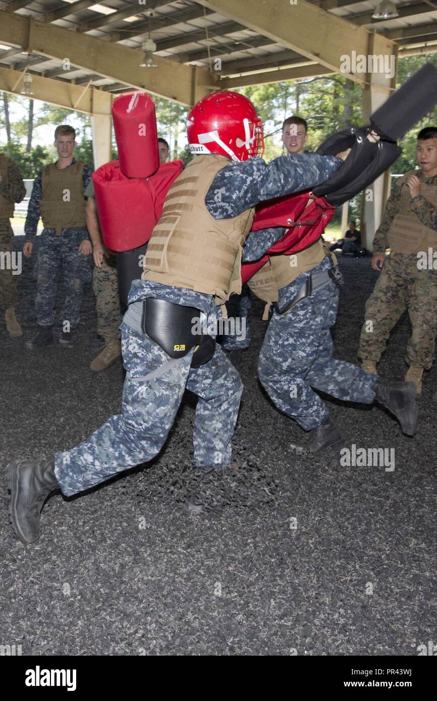 Camp devil dog hi-res stock photography and images - Alamy