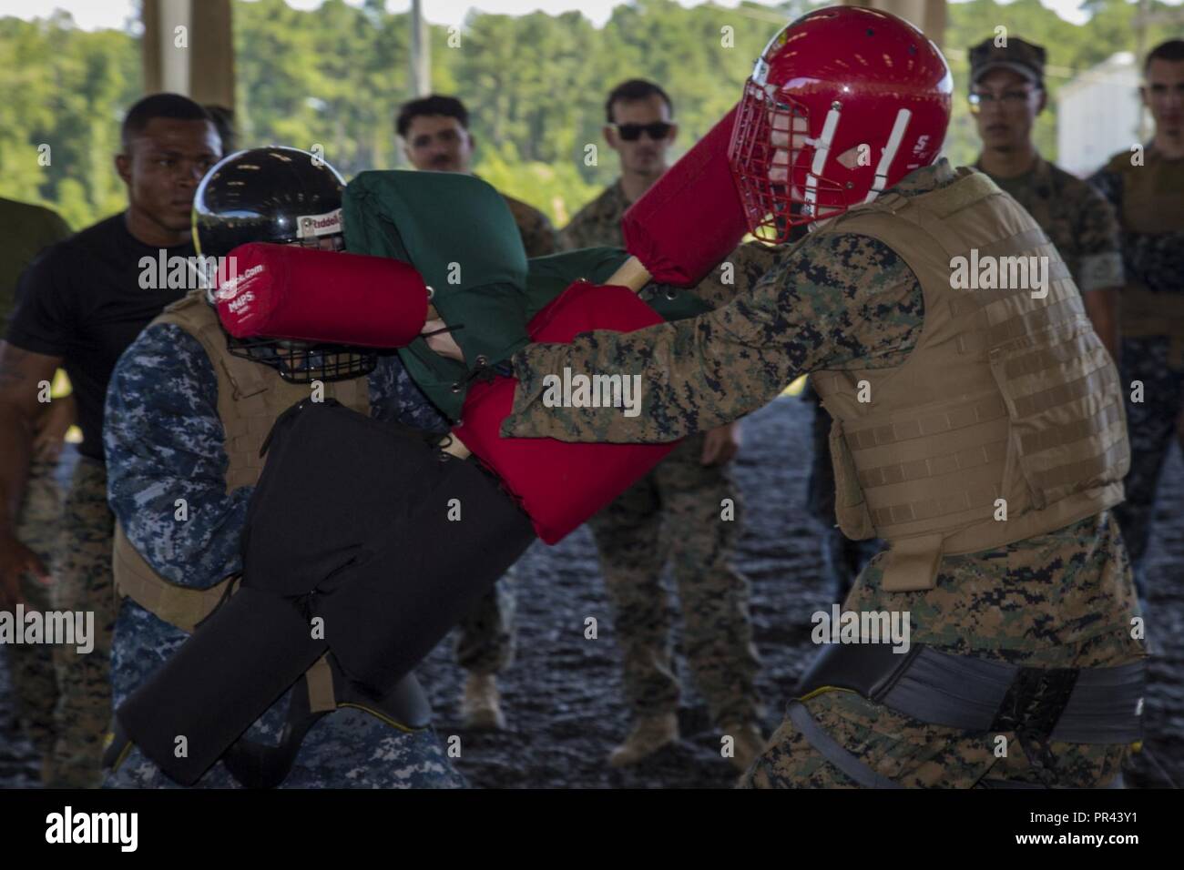 Camp devil dog hi-res stock photography and images - Alamy
