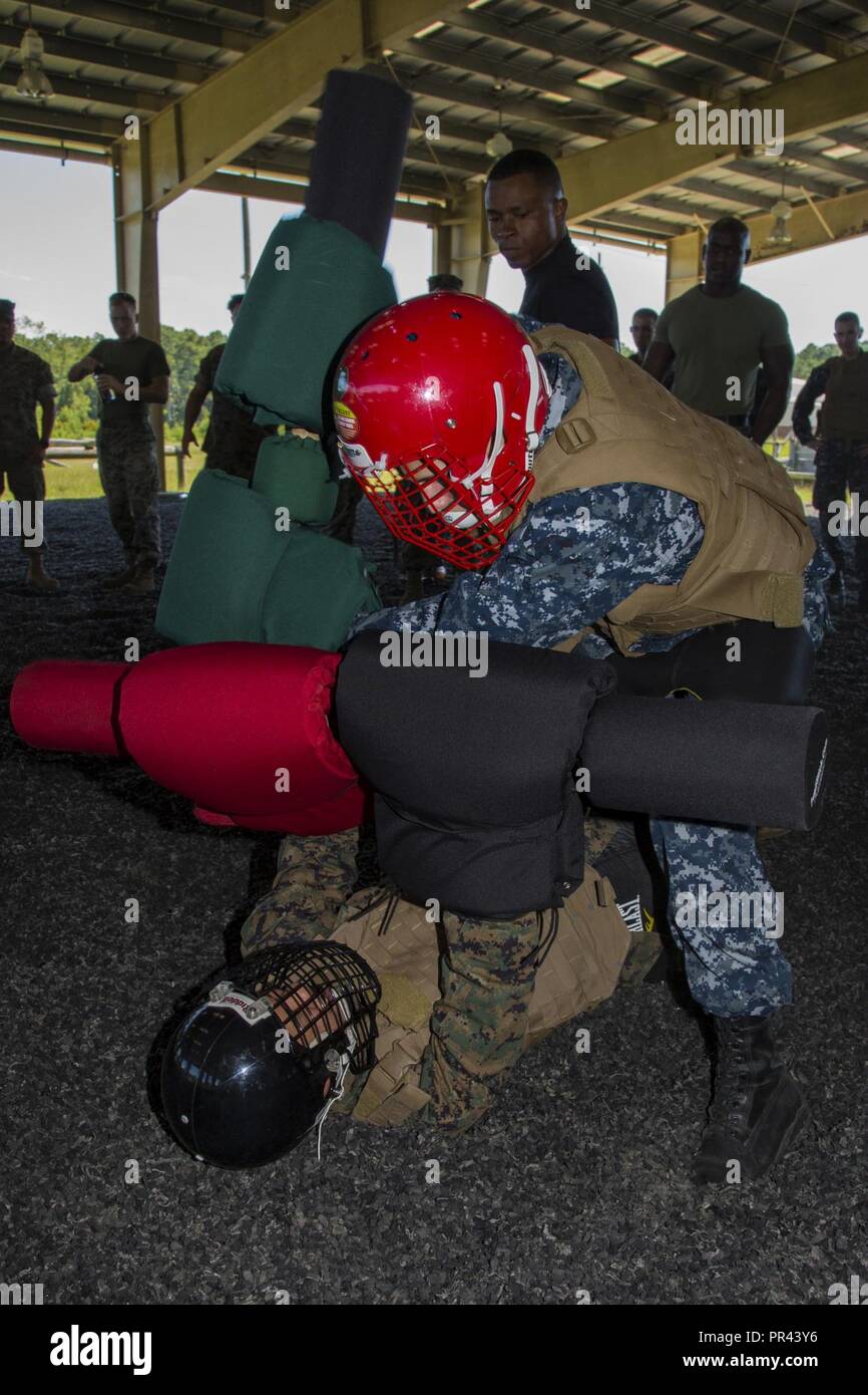 Camp devil dog hi-res stock photography and images - Alamy