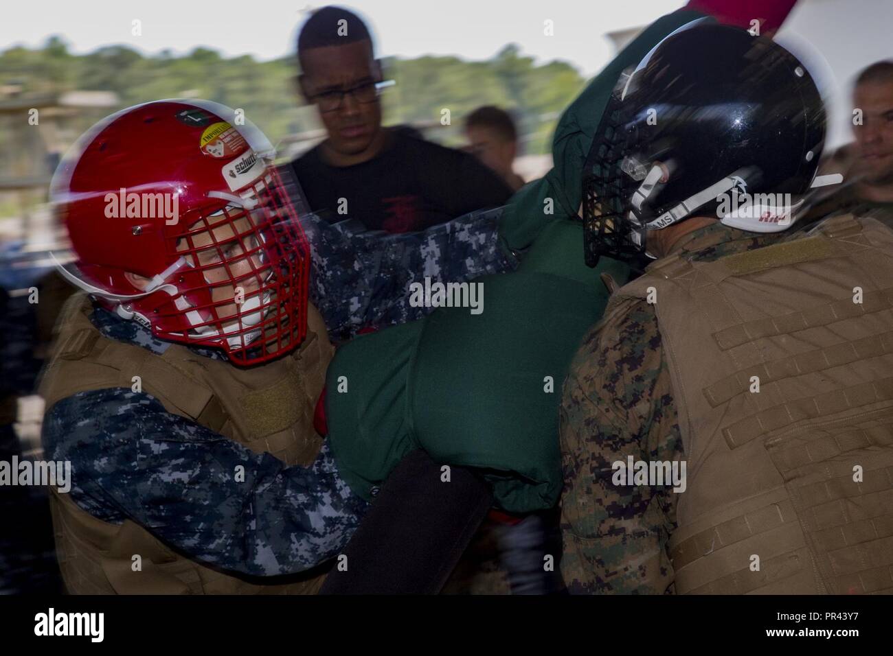 Camp devil dog hi-res stock photography and images - Alamy