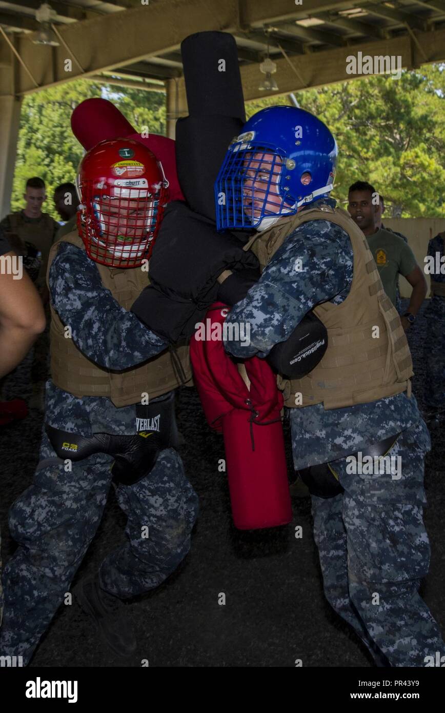 Camp devil dog hi-res stock photography and images - Alamy