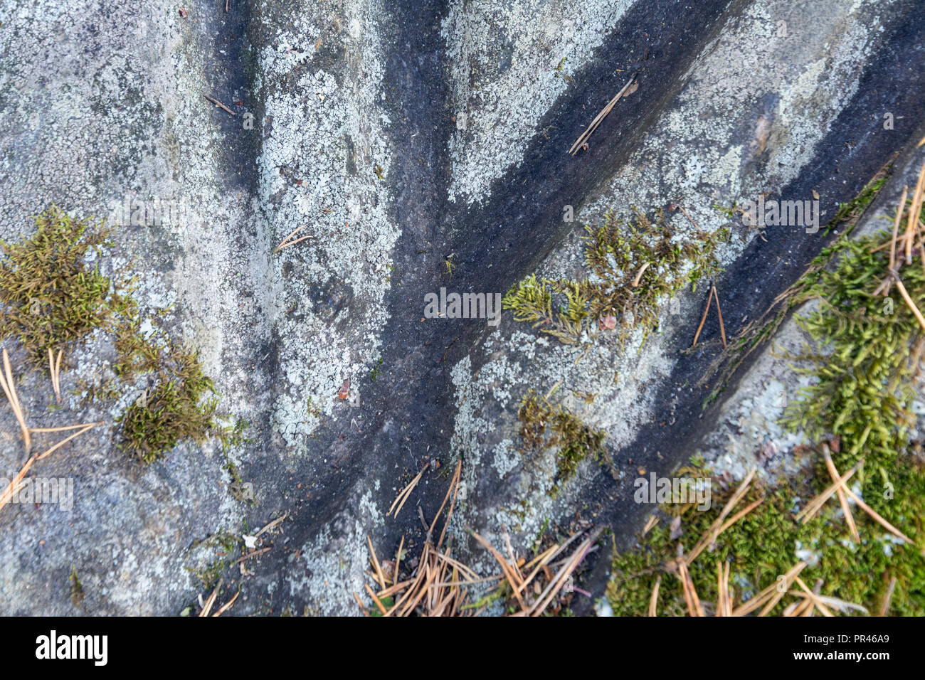 Ancient sword sharpening grooves in a stone by Ormajärvi lake in Lammi ...