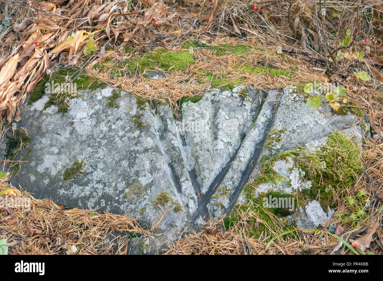 Ancient sword sharpening grooves in a stone by Ormajärvi lake in Lammi ...