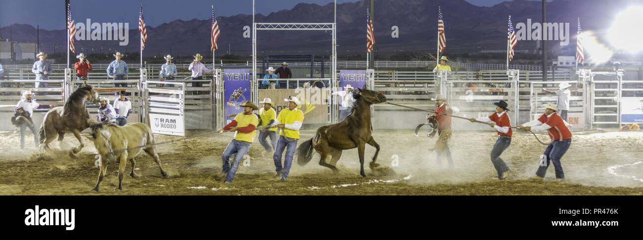 Competing yellow and red teams attempt to rangle horses during the 2018 ...