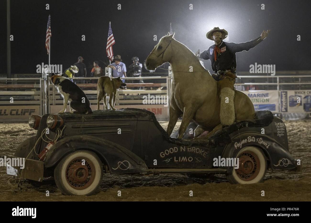 The American Mustang trainer drives away on horseback with his dogs on ...