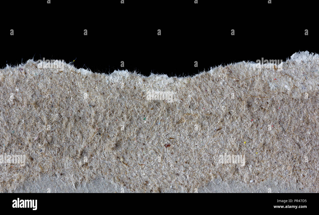 rip paper close up texture or background Stock Photo - Alamy